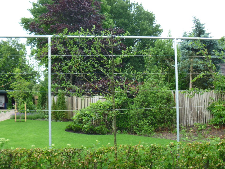 Leibomen constructie maken van Steigerbuis (TIP) | SteigerbuisOnline